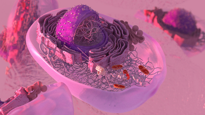 The Science of Ageing: How Your Cells Change Over Time - AgeMate