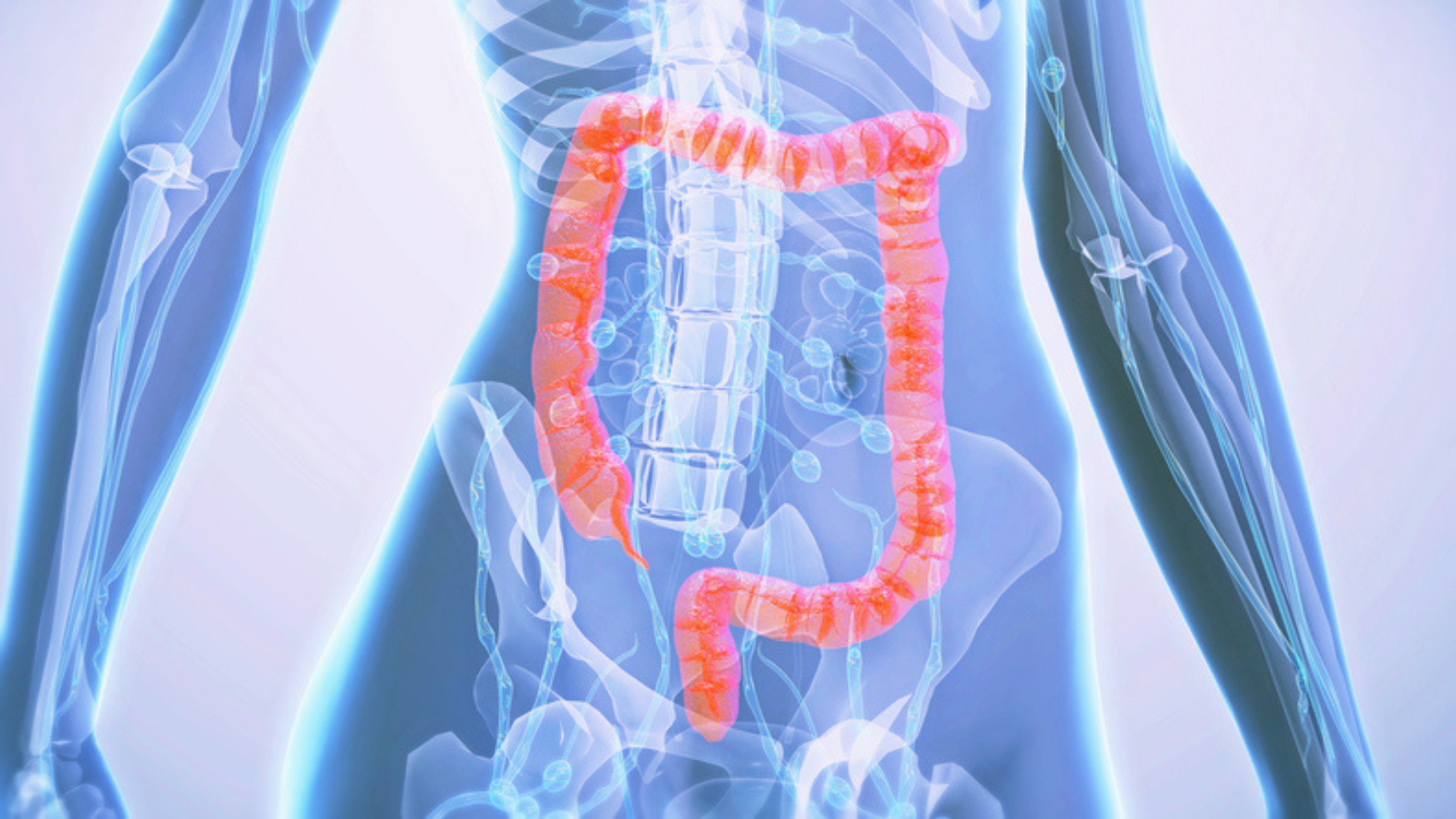 Natural Ways to Slow Colon Ageing After 40 - AgeMate