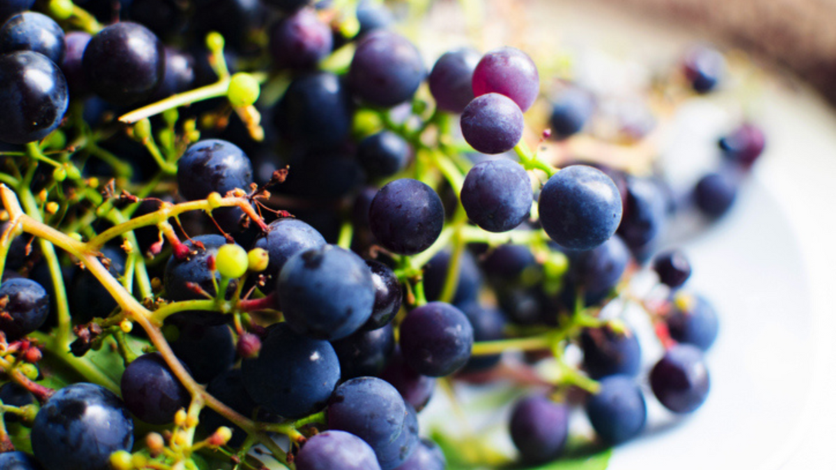 NMN And Resveratrol Benefits - AgeMate