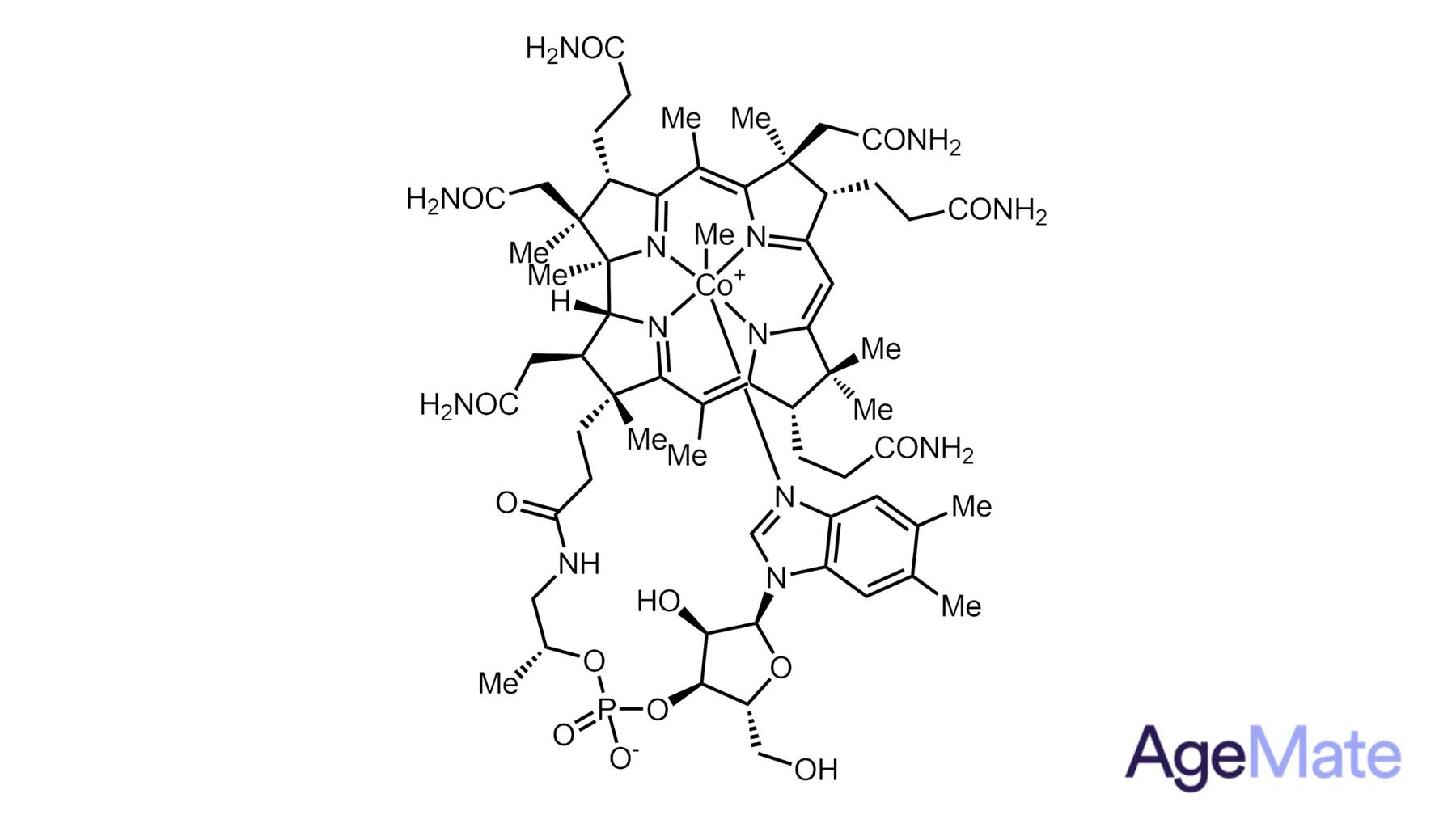 Ingredients & Benefits Of AgeMate - AgeMate