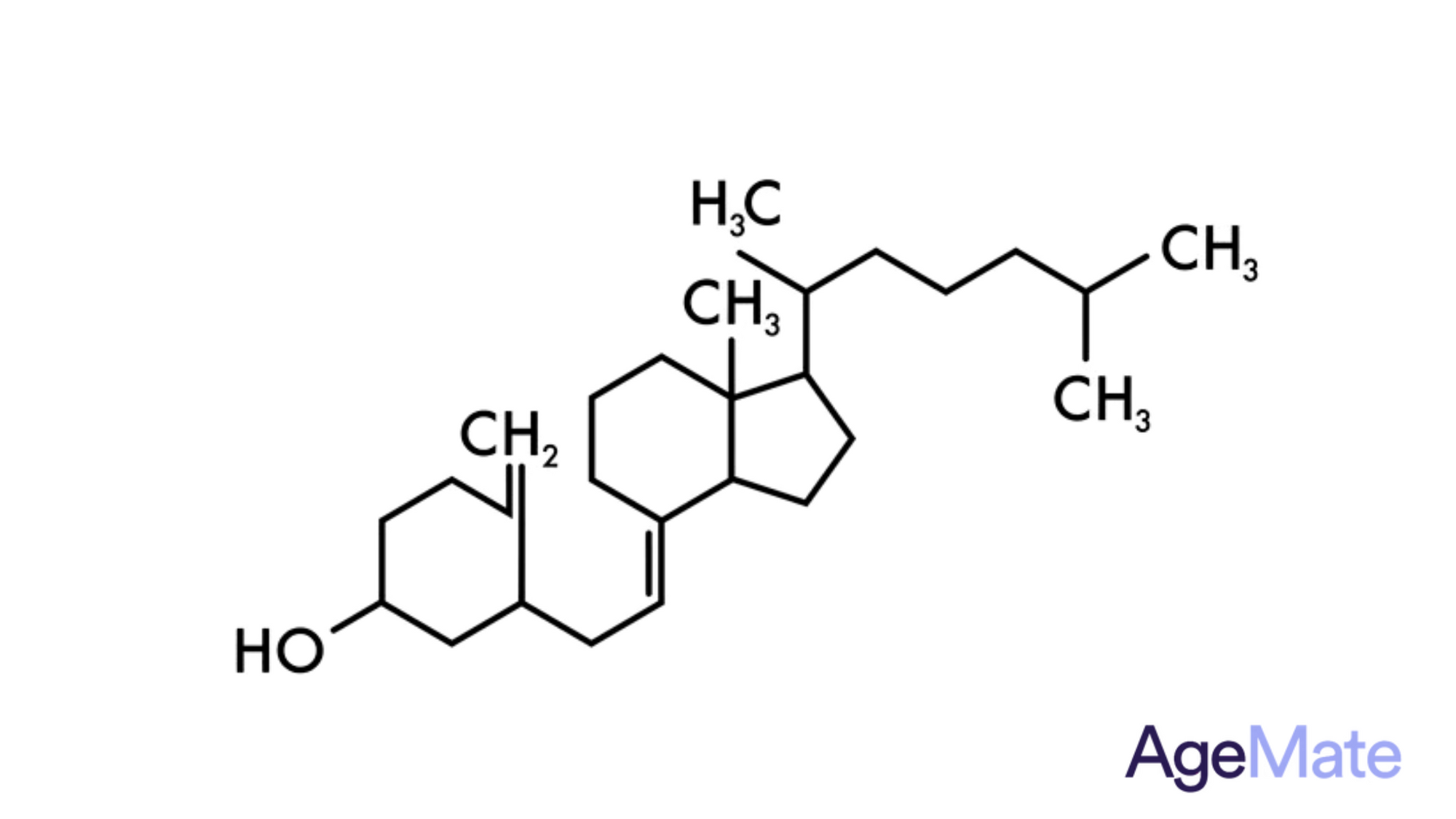 Ingredients & Benefits Of AgeMate - AgeMate